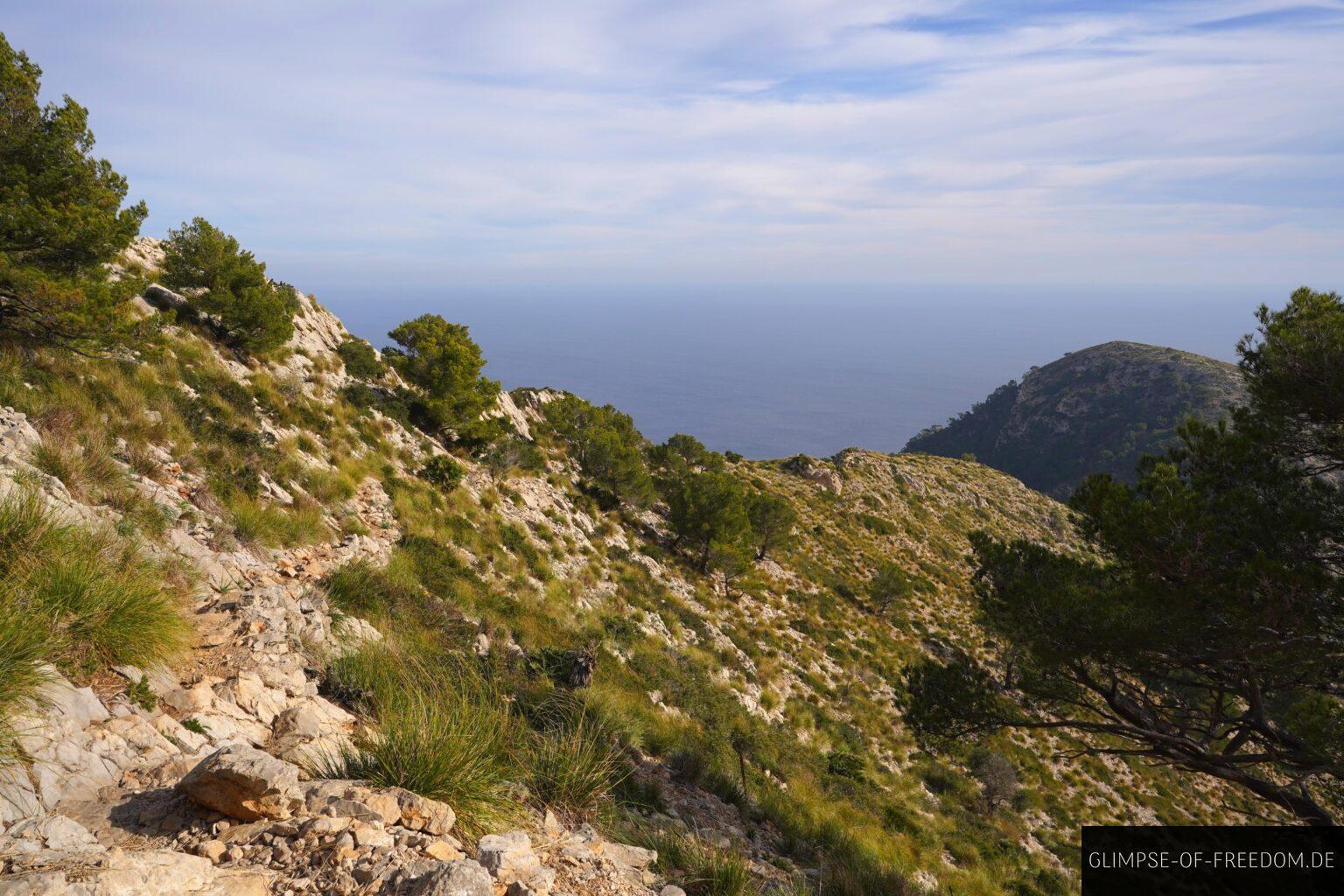 Talaia d’Alcúdia - Beste Wanderung [+ Playa des Coll Baix]
