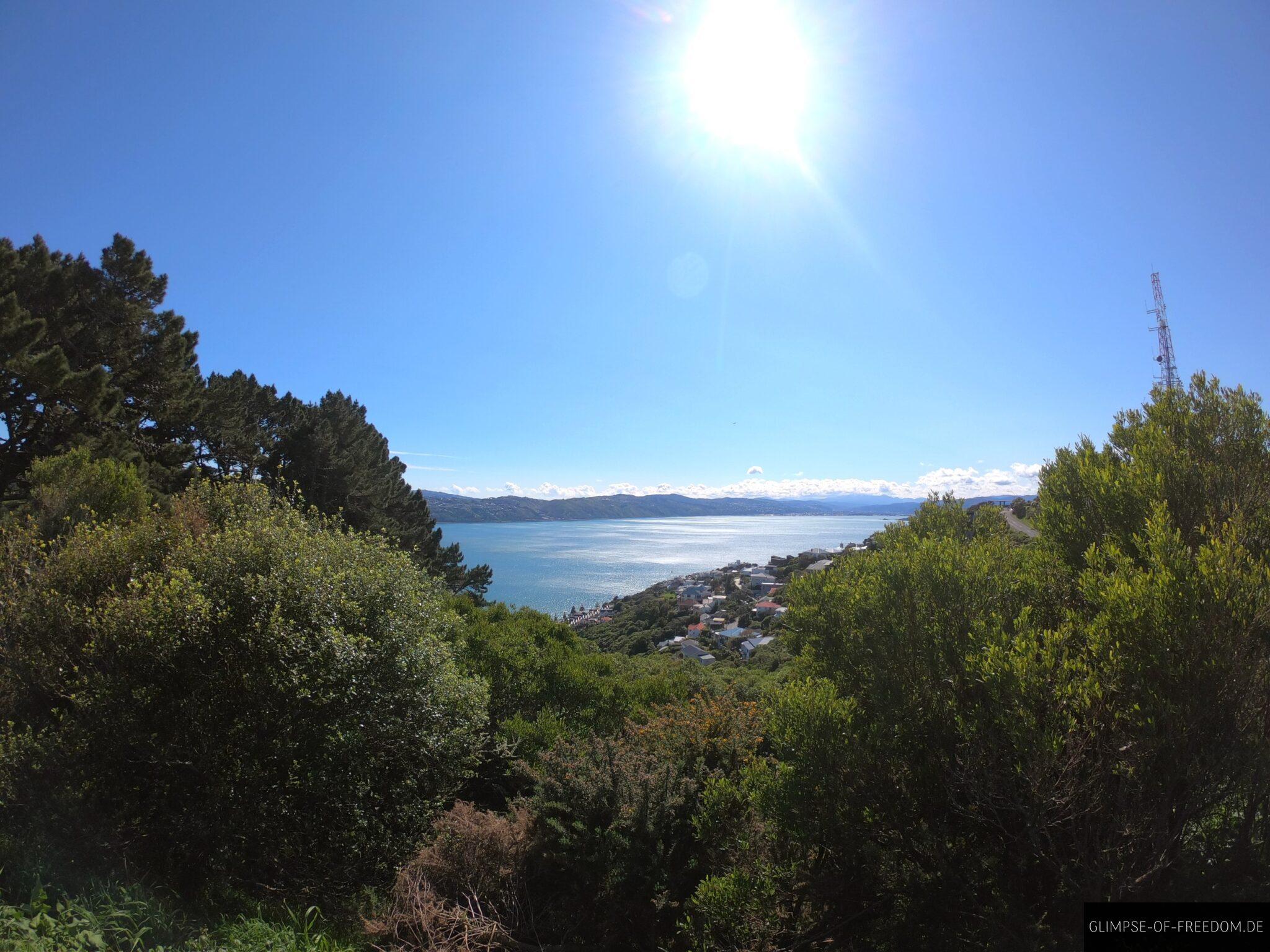 Mount Victoria Wellington – Aussichten, Film & Geschichte