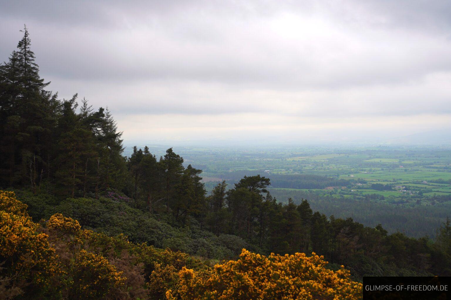 Lismore Loop & The Vee Drive - Malerische Rundfahrt | Irland