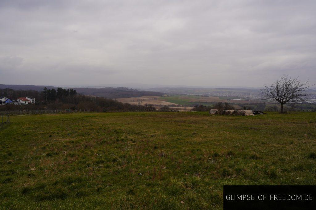 Burg Steinsberg Sinsheim - Alle Sehenswürdigkeiten und Tipps