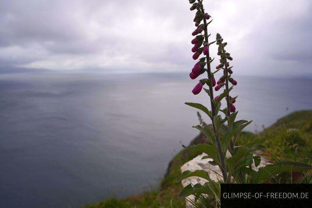 Eask Tower Wanderung - Aussicht vom Carhoo Hill mit Geschichte bei ...