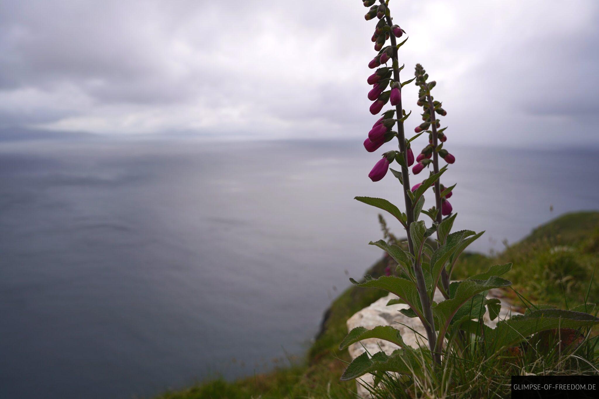 Eask Tower Wanderung - Aussicht vom Carhoo Hill mit Geschichte bei ...