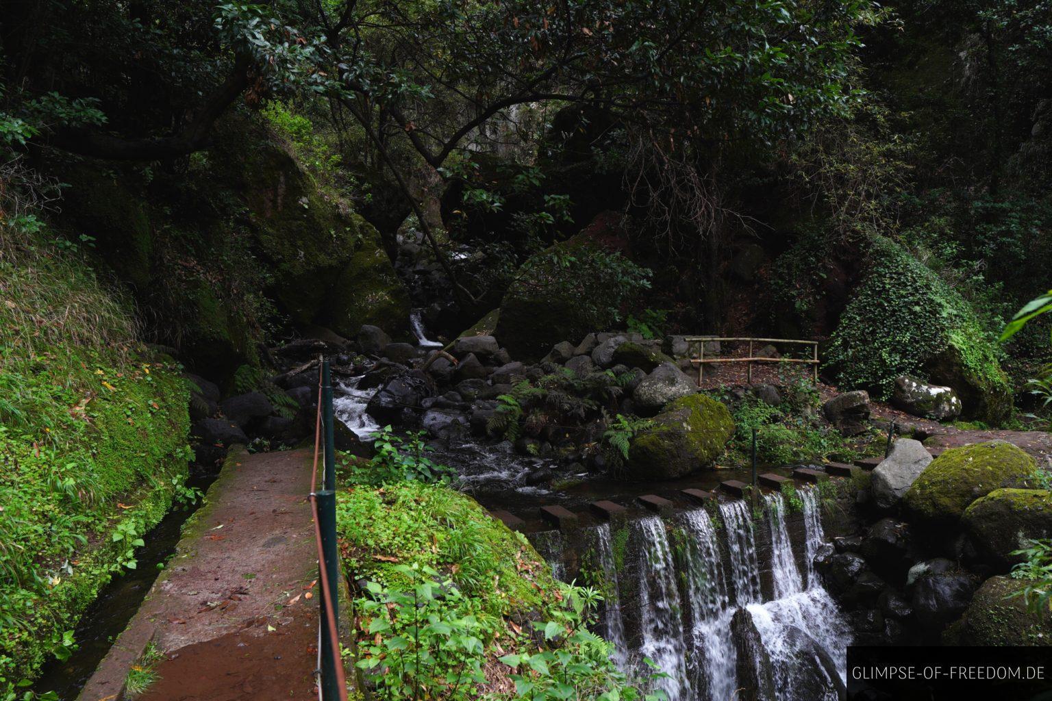 Levada do Moinho & Levada Nova Wanderung | Madeira-Tipp