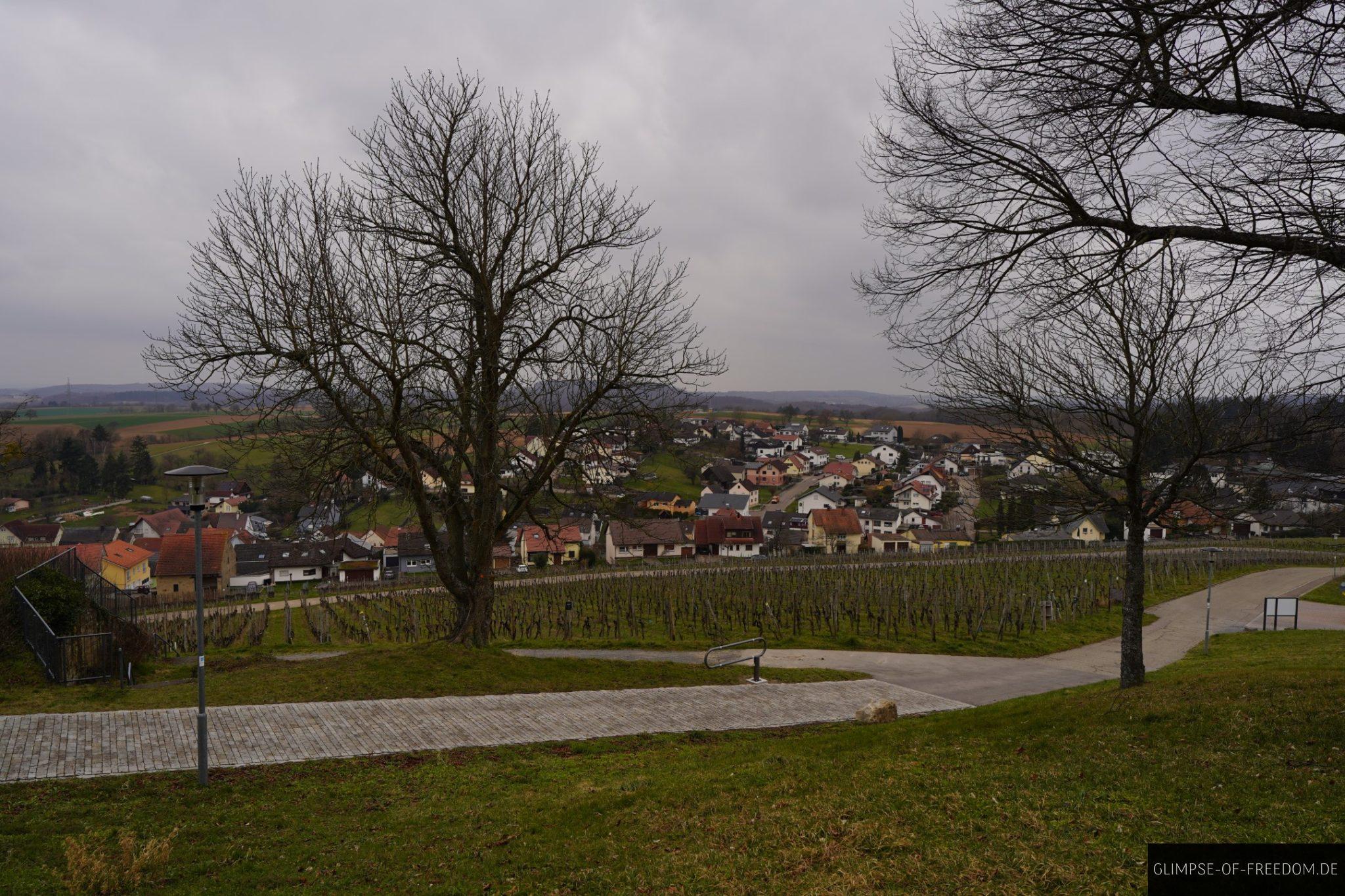 Burg Steinsberg Sinsheim - Alle Sehenswürdigkeiten und Tipps