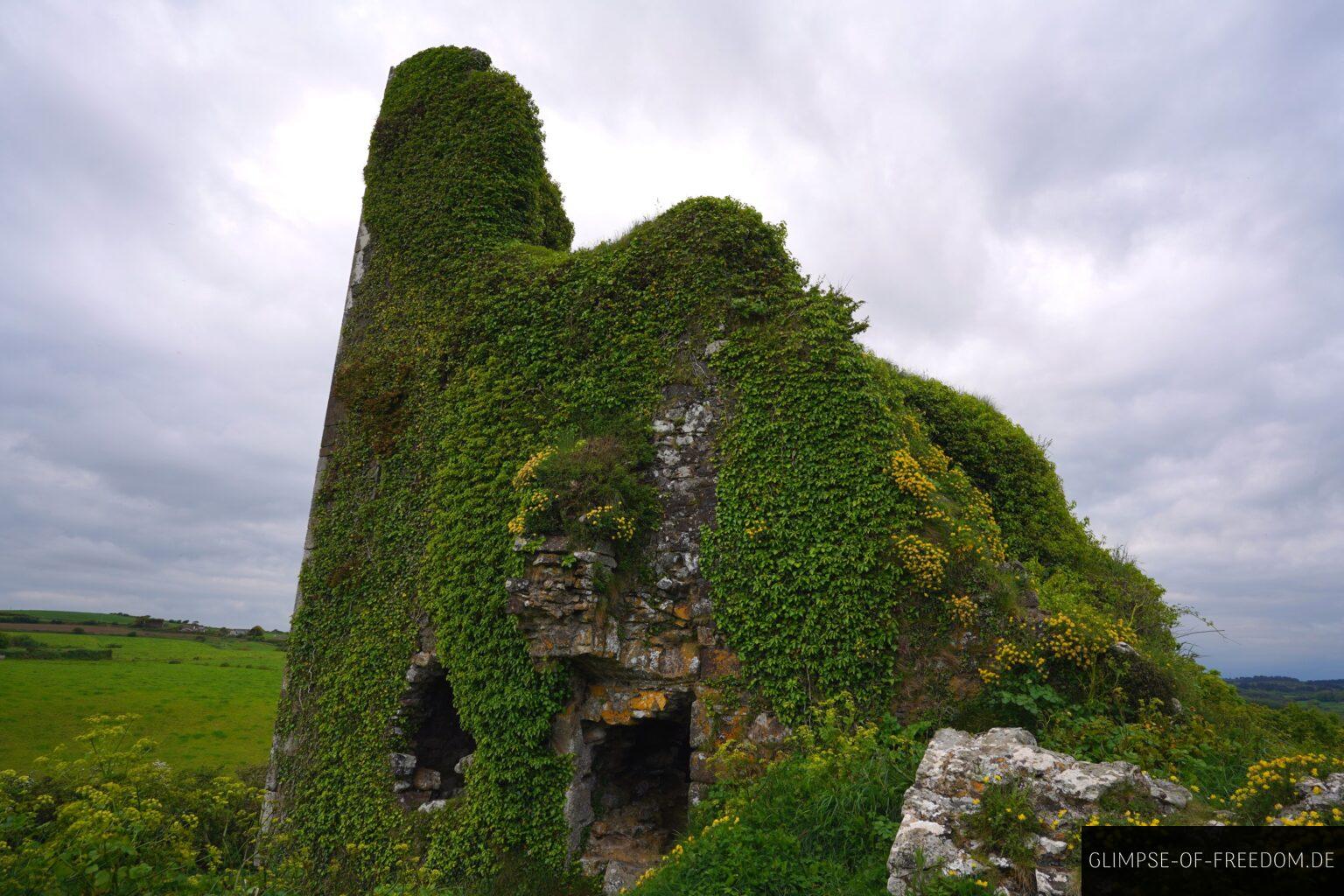 Copper Coast Drive - Die besten Sehenswürdigkeiten (+Fotos)