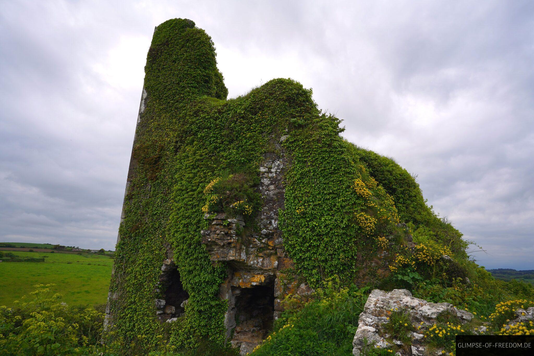 Copper Coast Drive - Die besten Sehenswürdigkeiten (+Fotos)