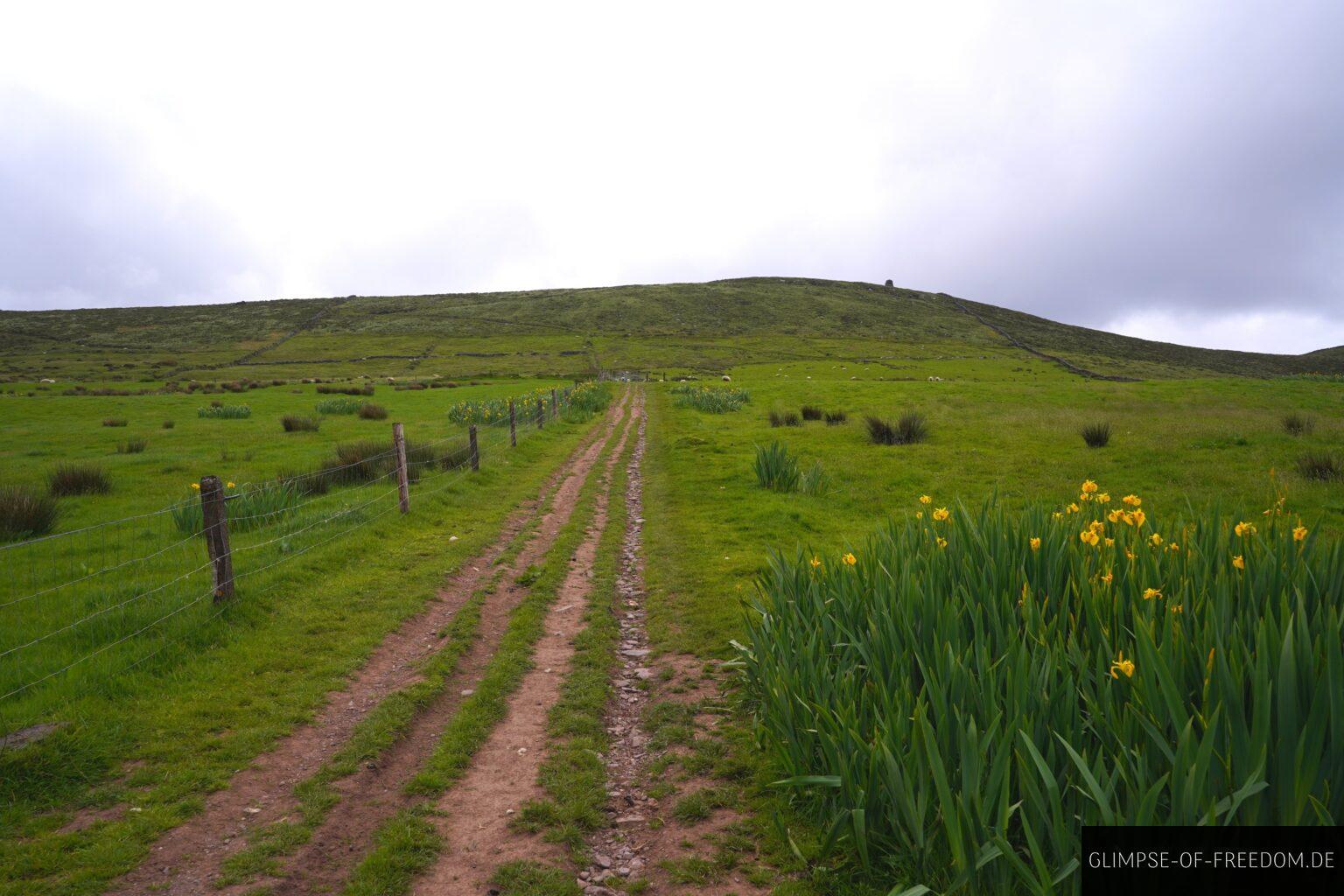 Eask Tower Wanderung - Aussicht vom Carhoo Hill mit Geschichte bei ...