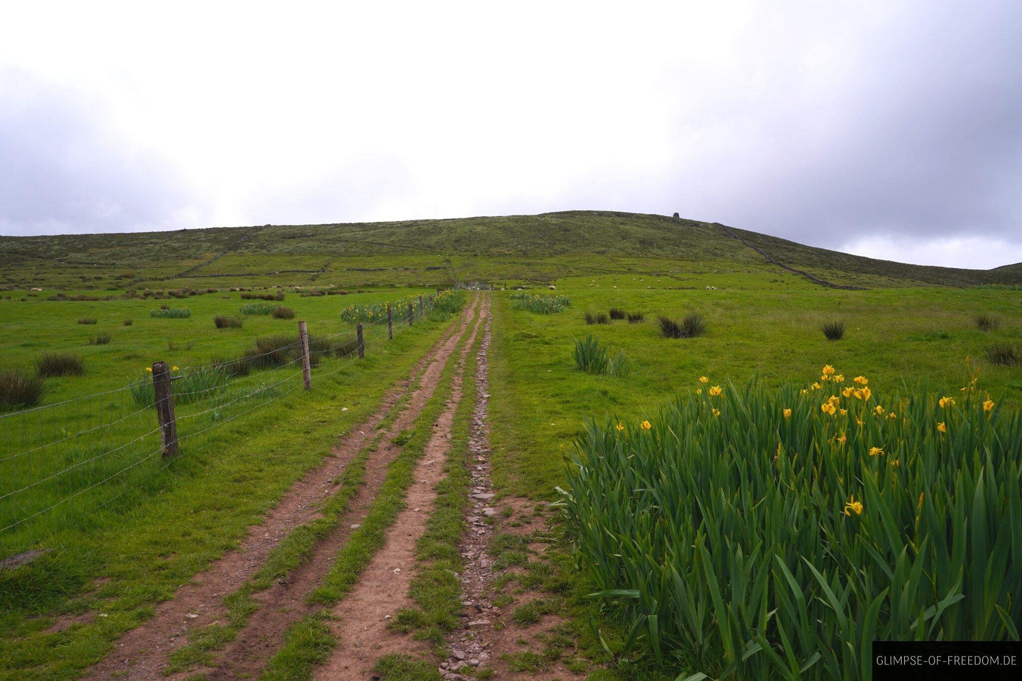 Eask Tower Wanderung - Aussicht vom Carhoo Hill mit Geschichte bei ...