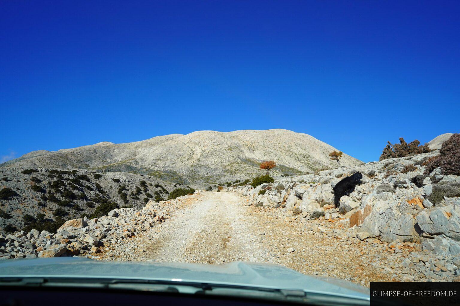 Pachnes: Wanderung auf Kretas zweithöchsten Berg [mit Karte]