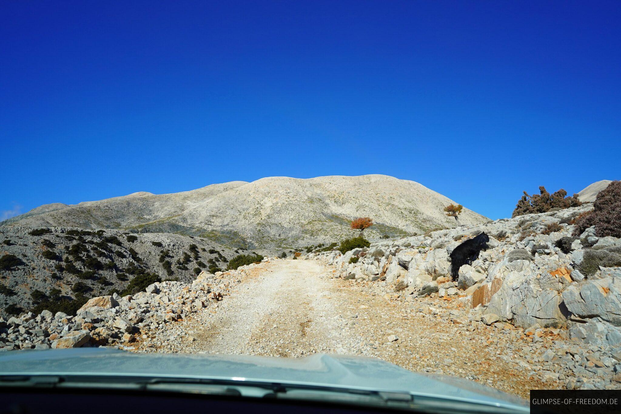 Pachnes: Wanderung auf Kretas zweithöchsten Berg [mit Karte]