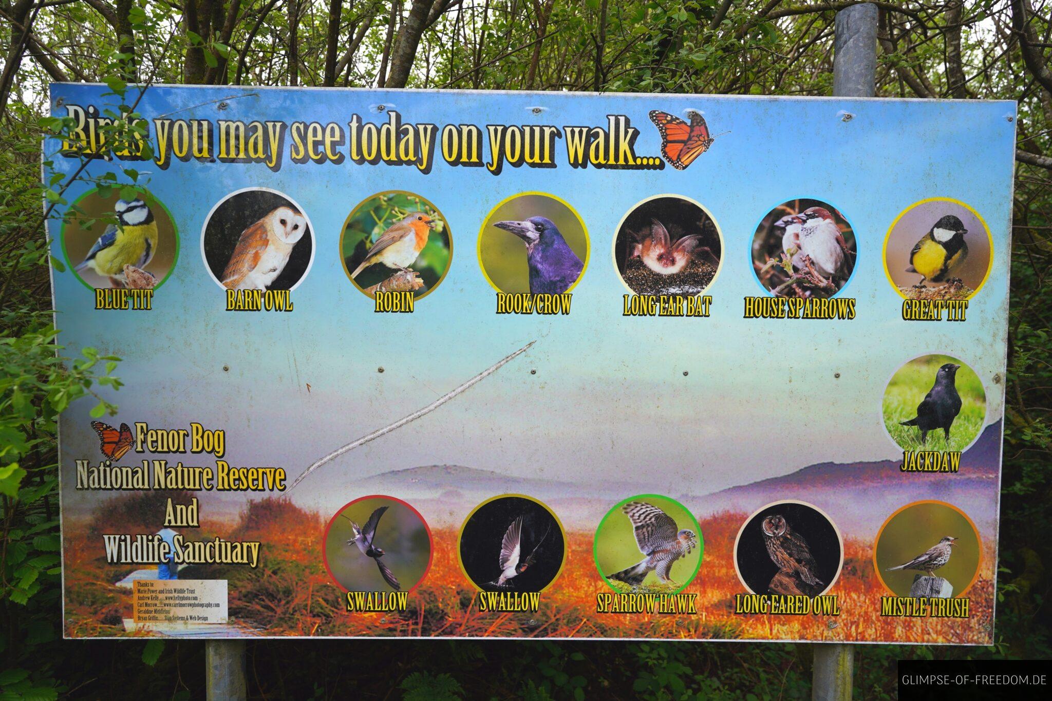 Fenor Bog Walk - Ratgeber zum Moor bei Waterford