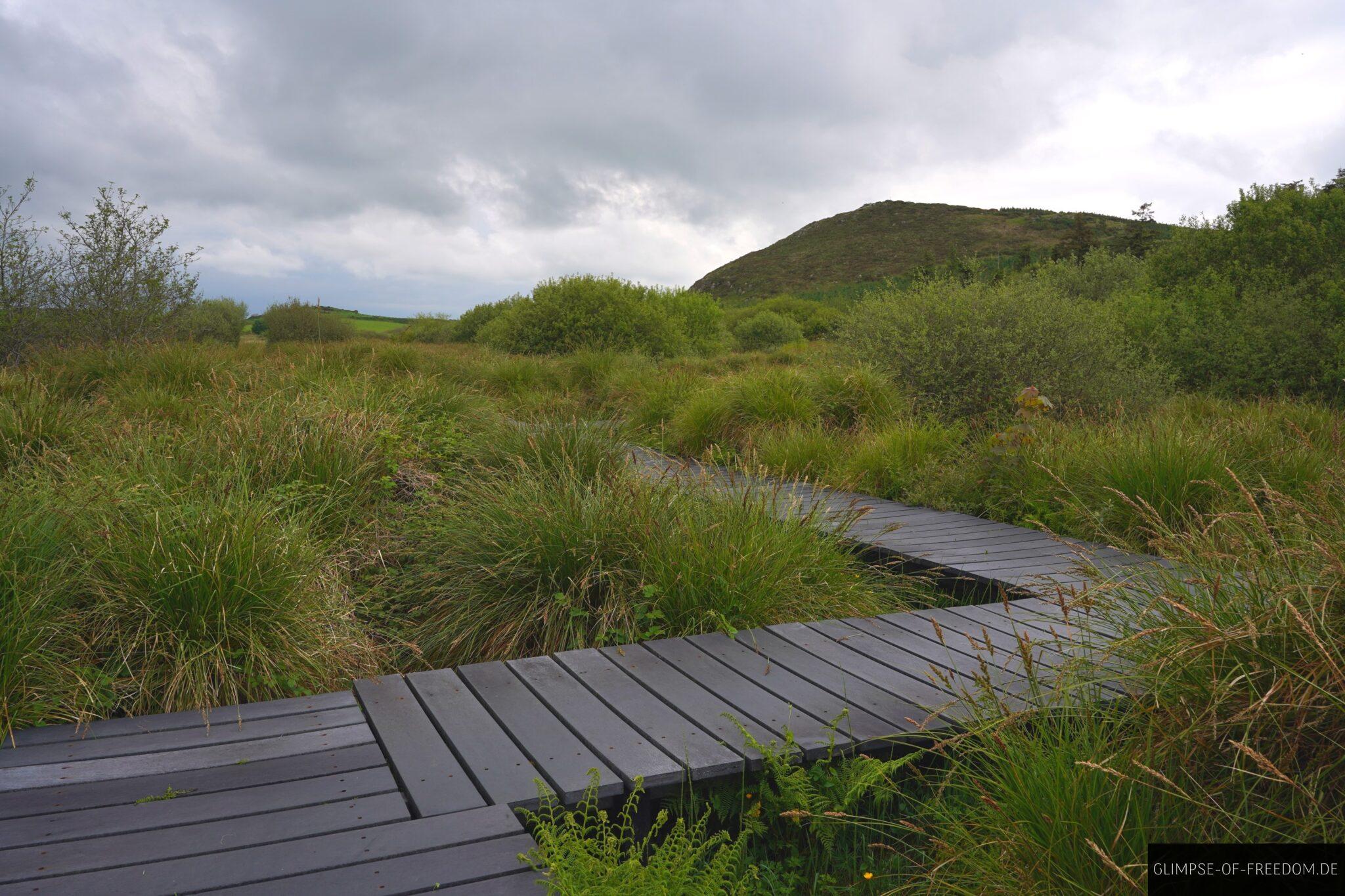 Copper Coast Drive - Die besten Sehenswürdigkeiten (+Fotos)