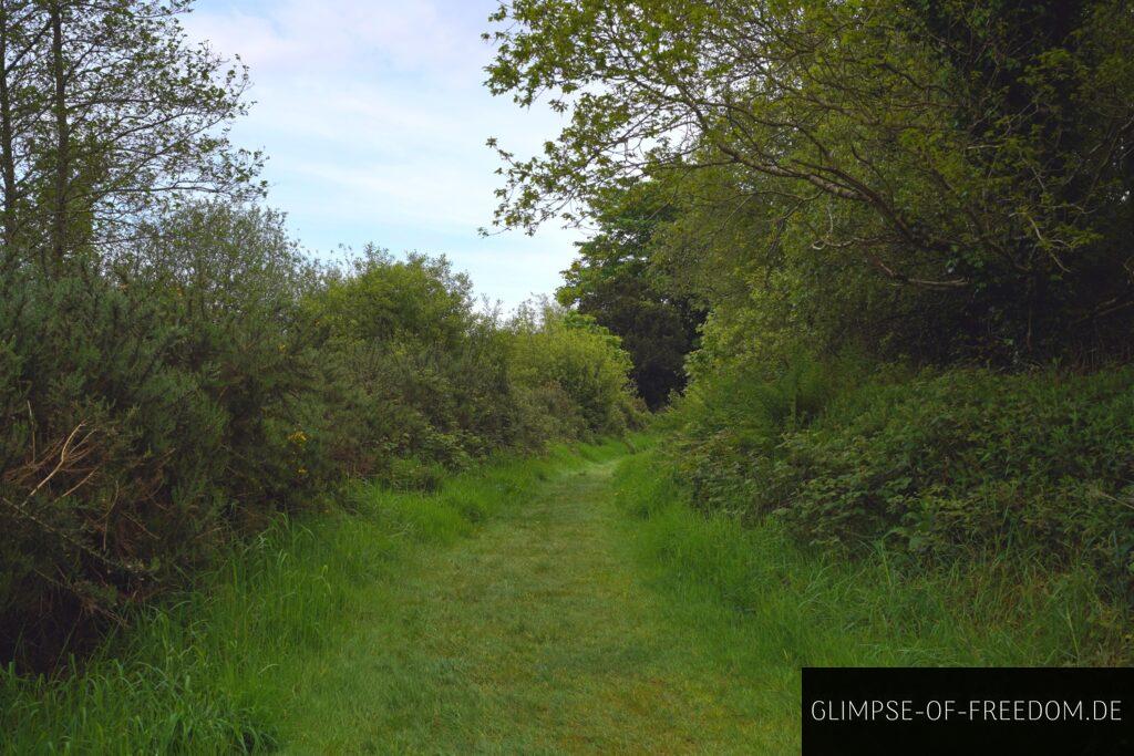 Fenor Bog Walk - Ratgeber zum Moor bei Waterford