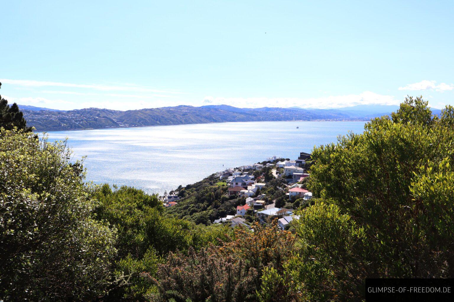 Mount Victoria Wellington – Aussichten, Film & Geschichte