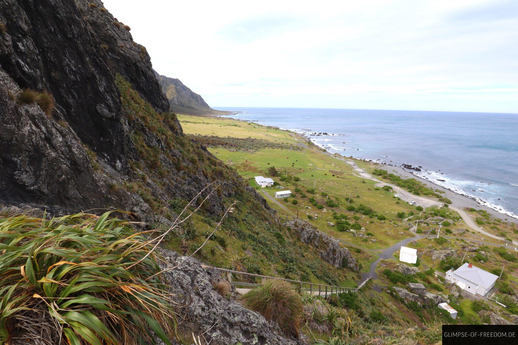 Cape Palliser: Leuchtturm und Robbenkolonie in Neuseeland