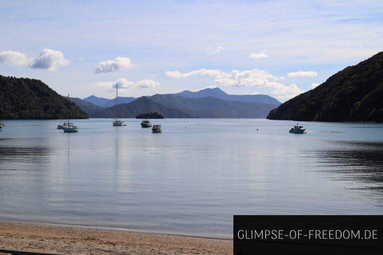Tirohanga Track Picton – Infos, Tipps & Fotos zur Wanderung