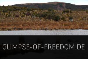 Waitonga Falls Track - Einfache Wanderung im Tongariro Park