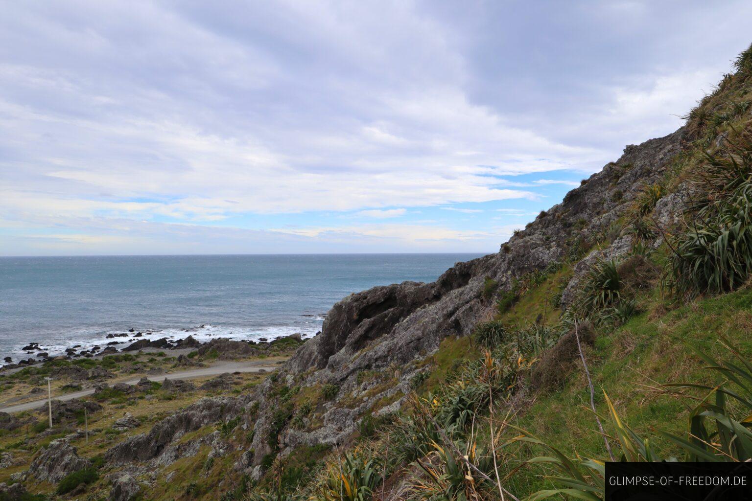 Cape Palliser: Leuchtturm und Robbenkolonie in Neuseeland