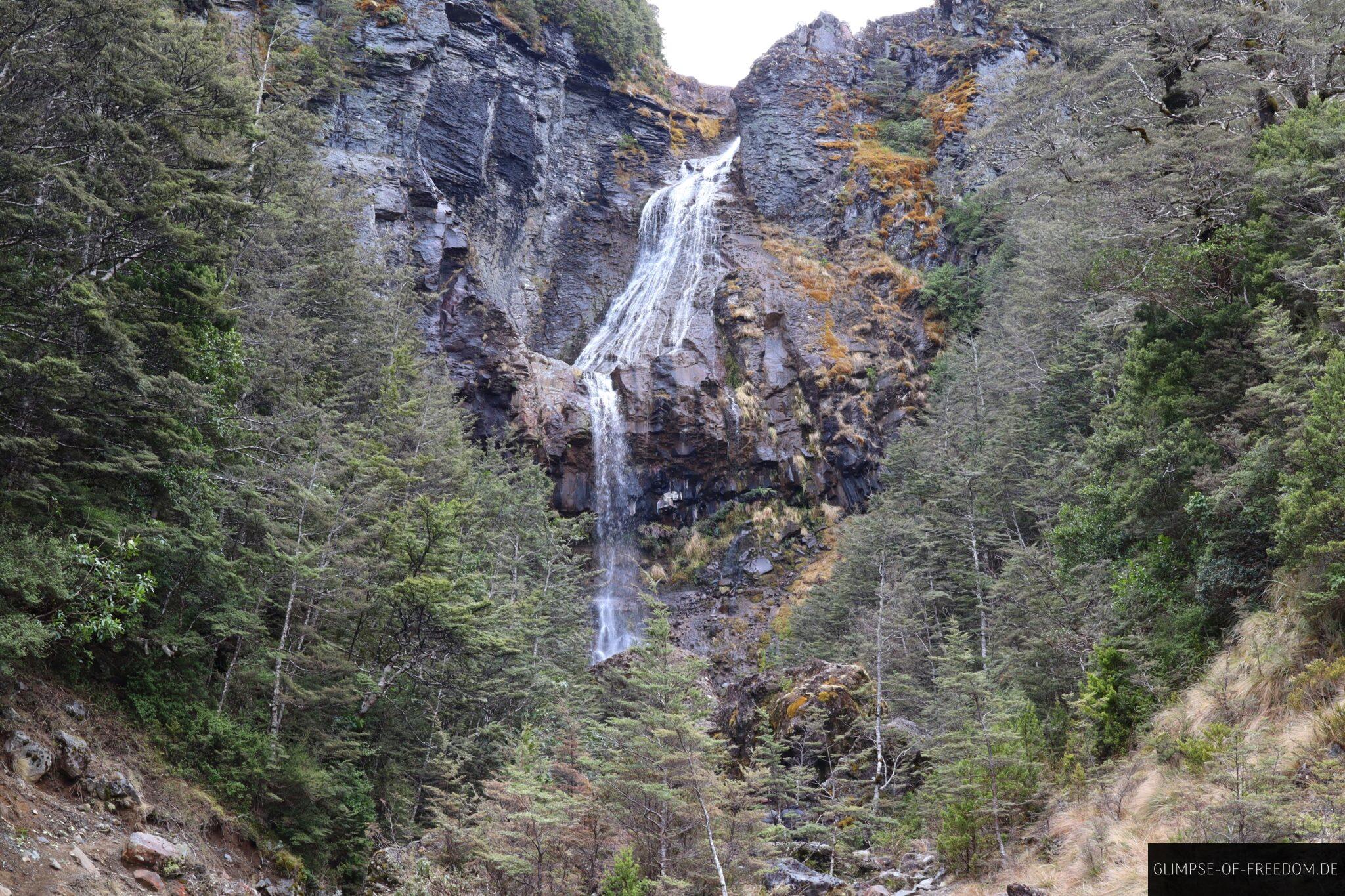 Waitonga Falls Track - Einfache Wanderung im Tongariro Park