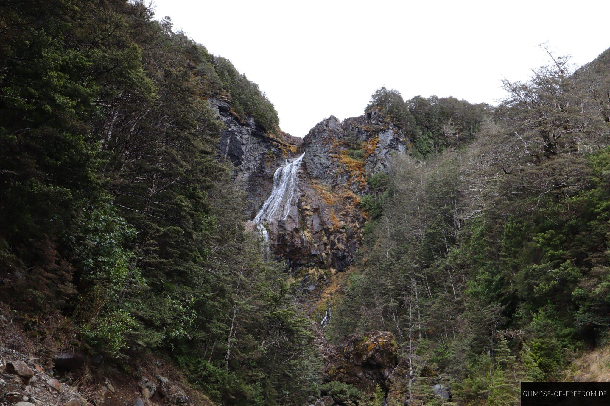 Waitonga Falls Track - Einfache Wanderung im Tongariro Park