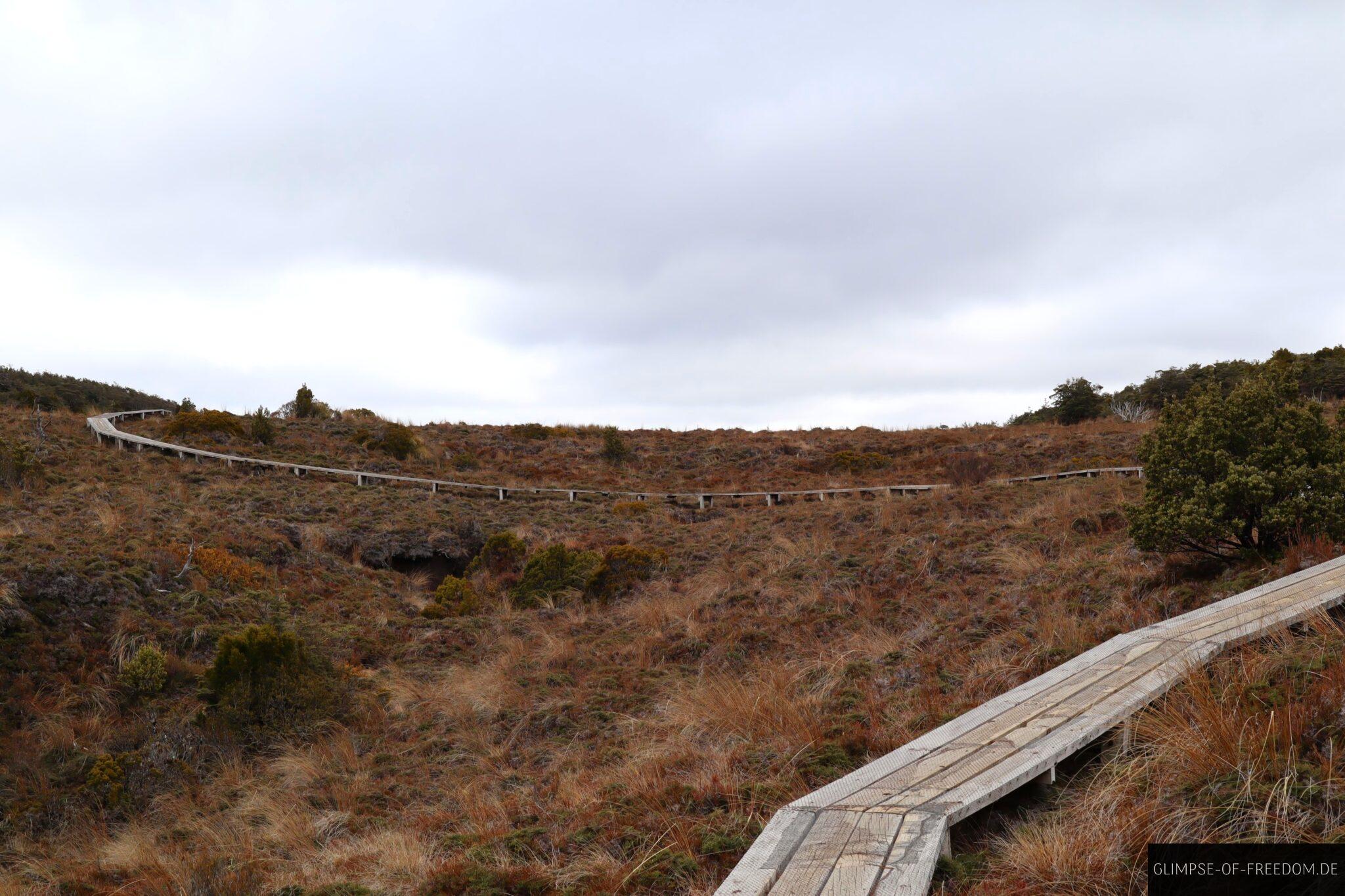 Waitonga Falls Track - Einfache Wanderung im Tongariro Park