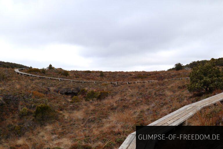 Waitonga Falls Track - Einfache Wanderung im Tongariro Park