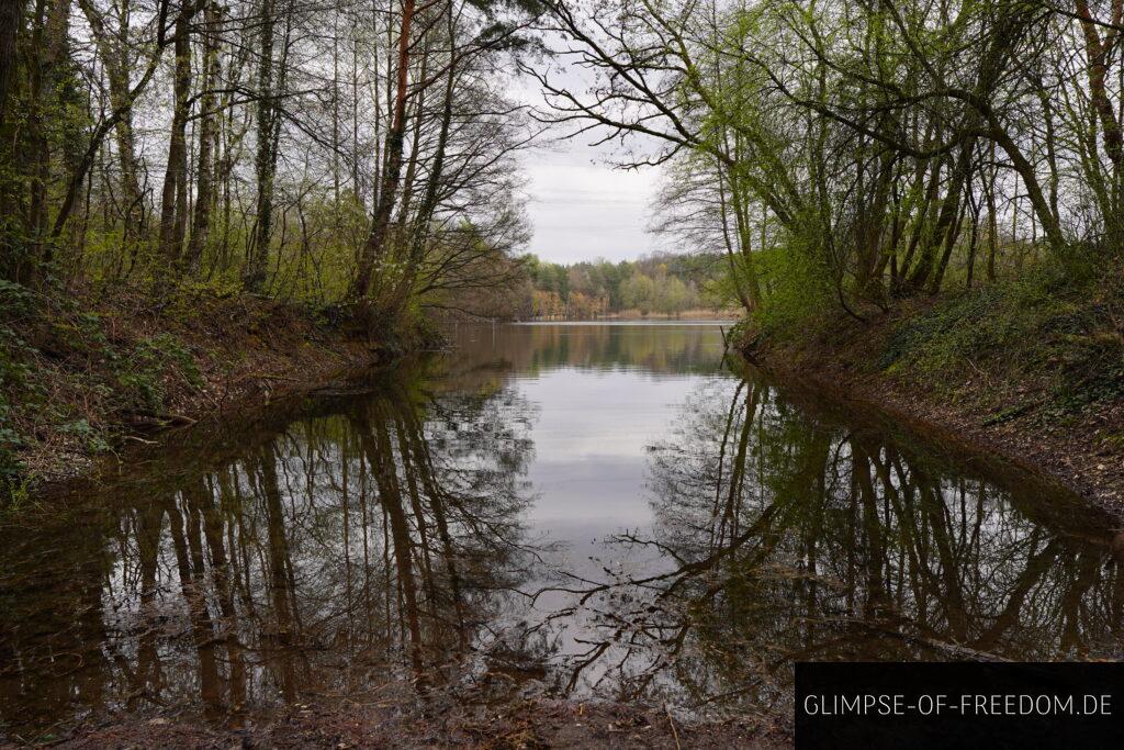Vogelsberger See und Oberwaldsee bei Dietesheim [Alle Infos]