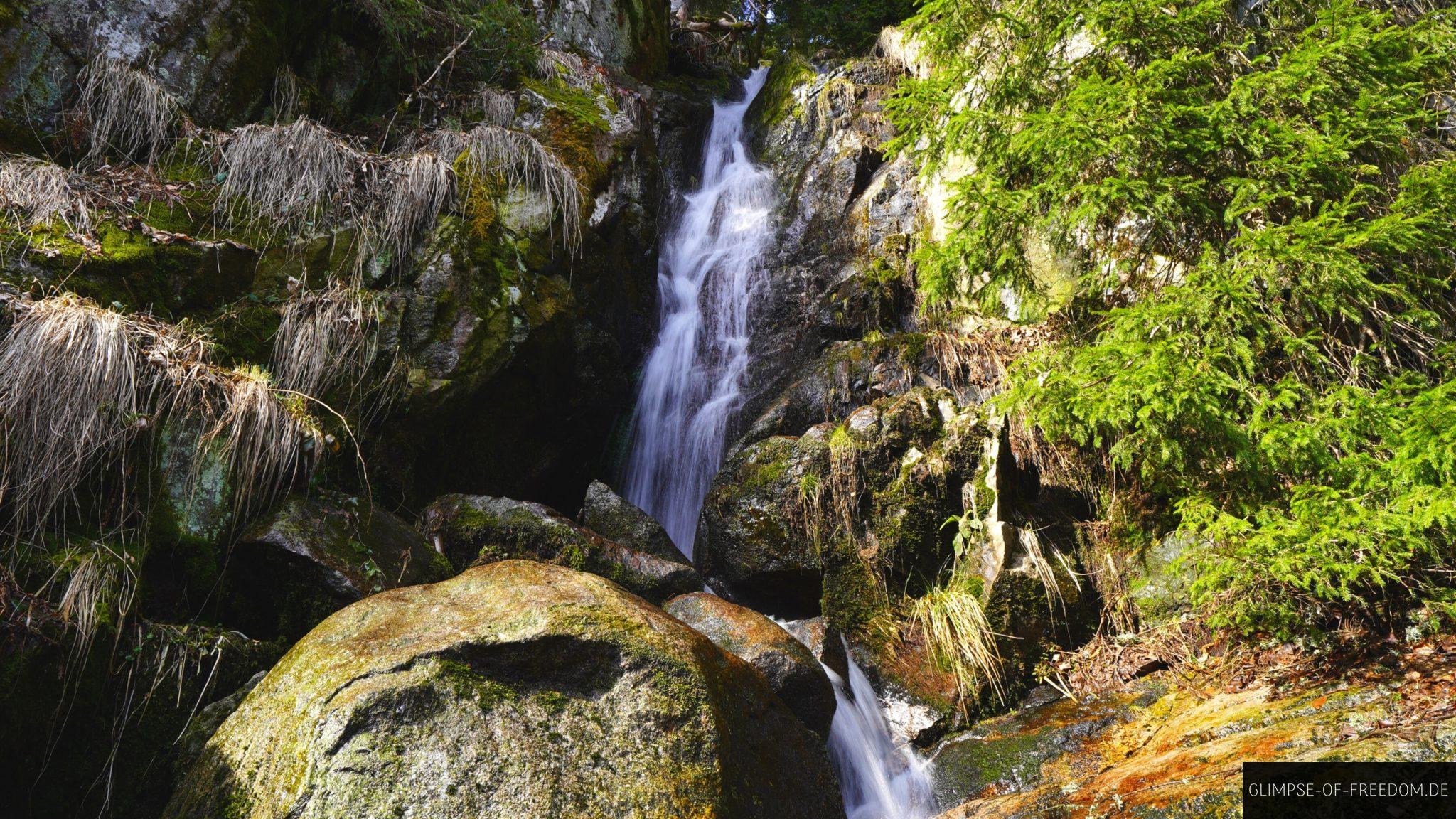 Sentier des Roches Wanderung über Hohneck (Vogesen)