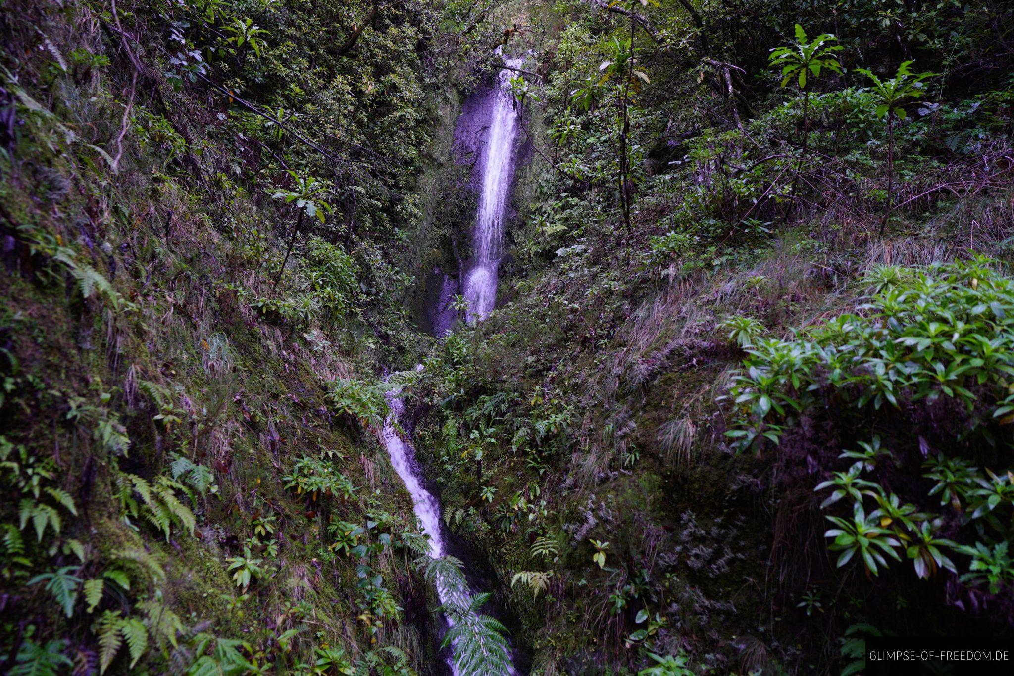 Caminho do Pináculo e Folhadal (PR17) - Wanderung mit Fotos
