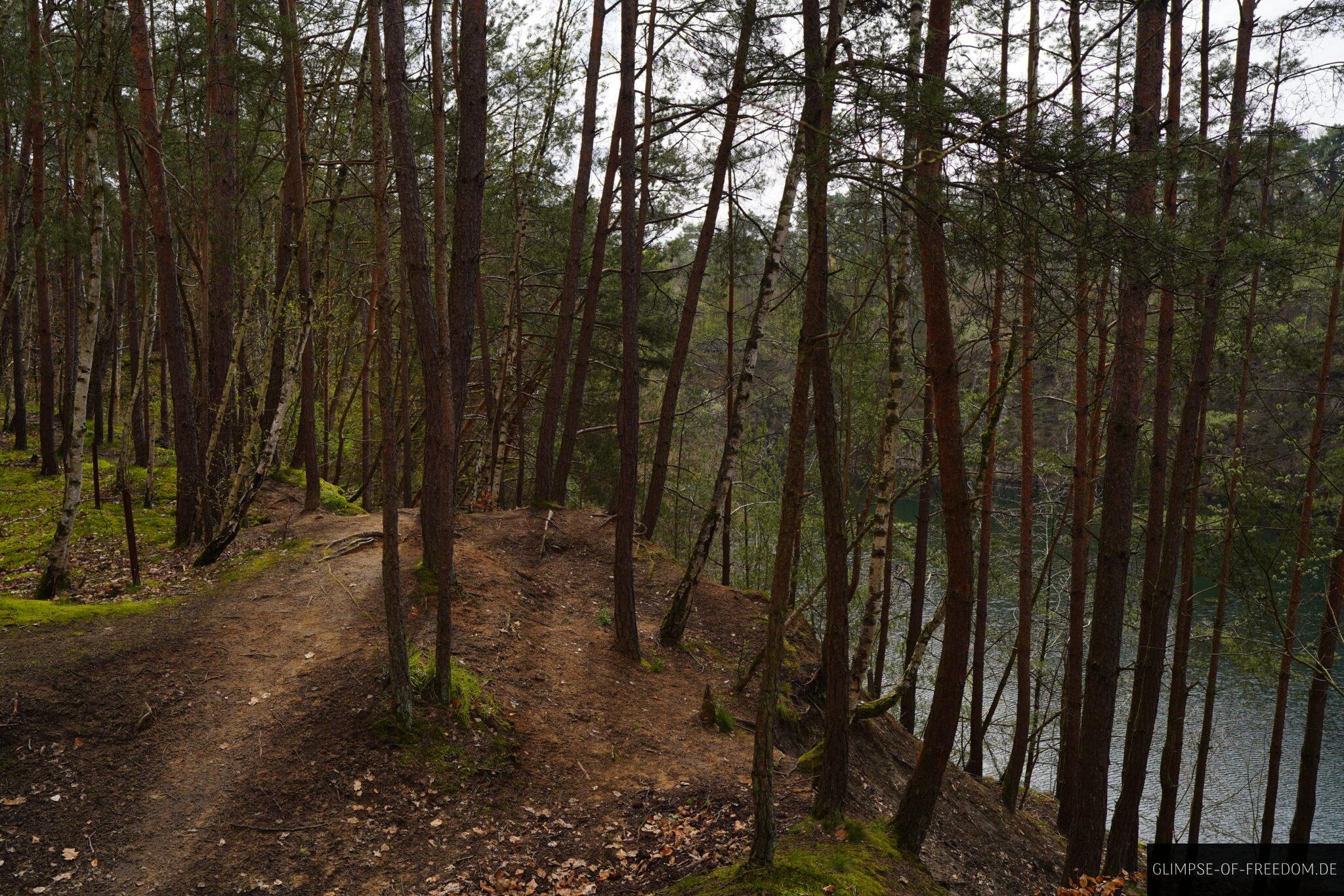 Vogelsberger See und Oberwaldsee bei Dietesheim [Alle Infos]