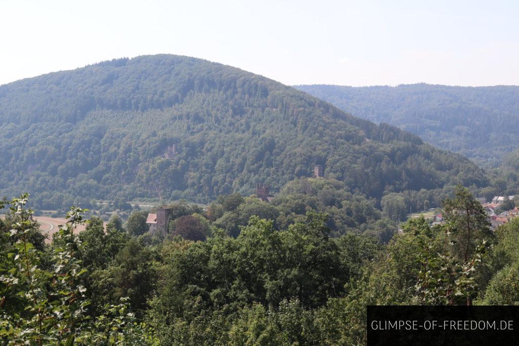 Die 4 Burgen Neckarsteinach - Tipps und Review zum Ausflug
